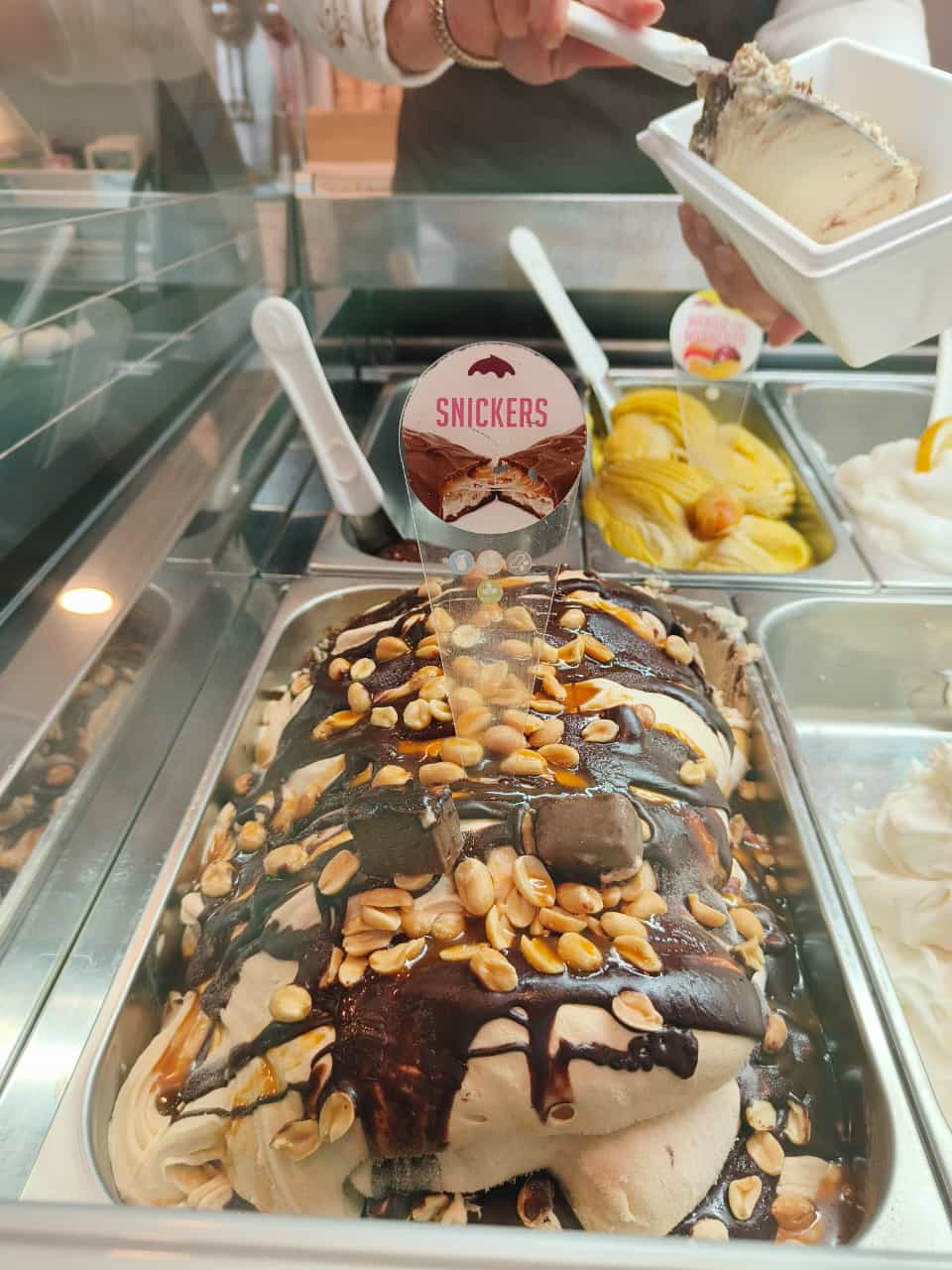 Ice cream shop near me - Heladeria Puerta Real